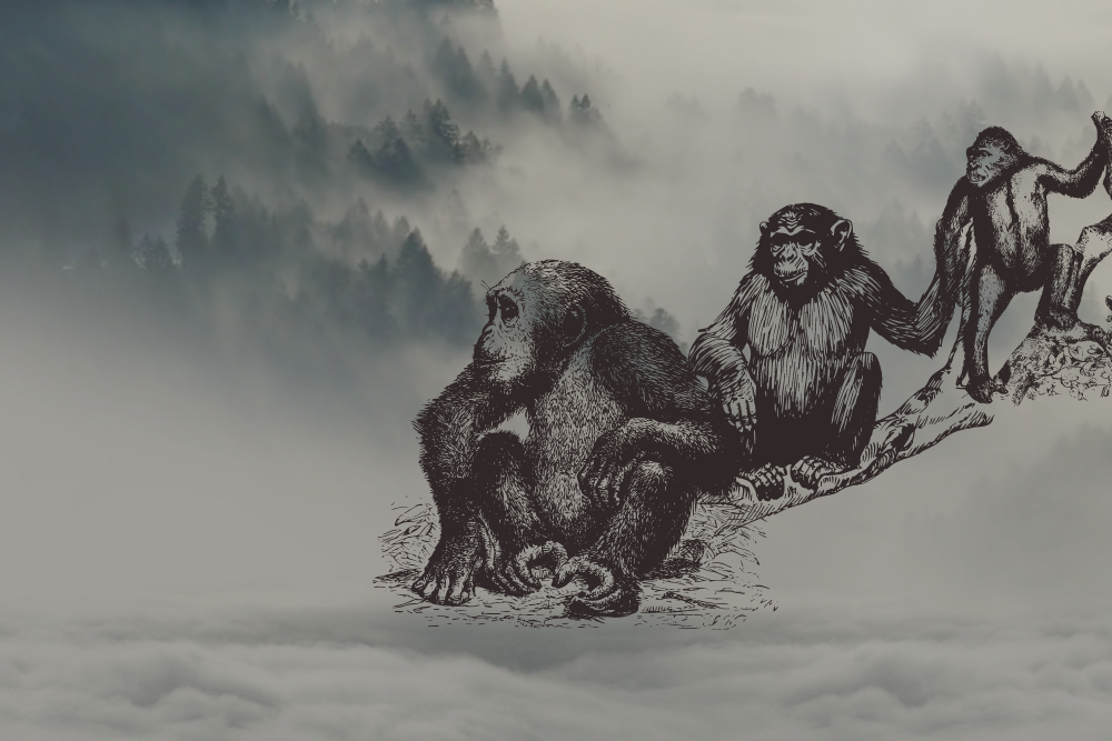 Crafting Consciousness: Three Wise Monkeys Tattoo Ideas and Inspiration ...