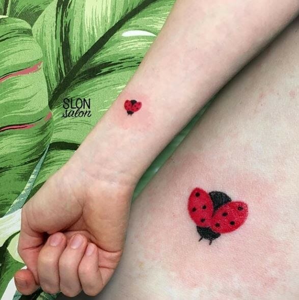 220 Ladybug Tattoo Designs to Bring Good Fortune to Your Skin - Psycho Tats