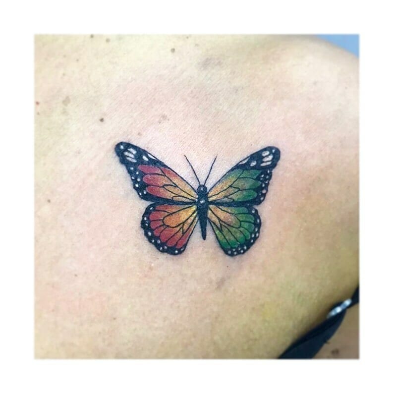 70 Wonderful Butterfly Tattoos For Chest with Incredible Looks - Psycho ...