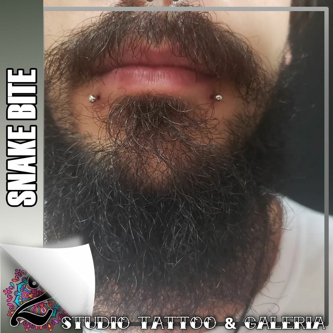 7+ Striking Snake Bite Piercing Style Ideas That Are Hard To Ignore ...