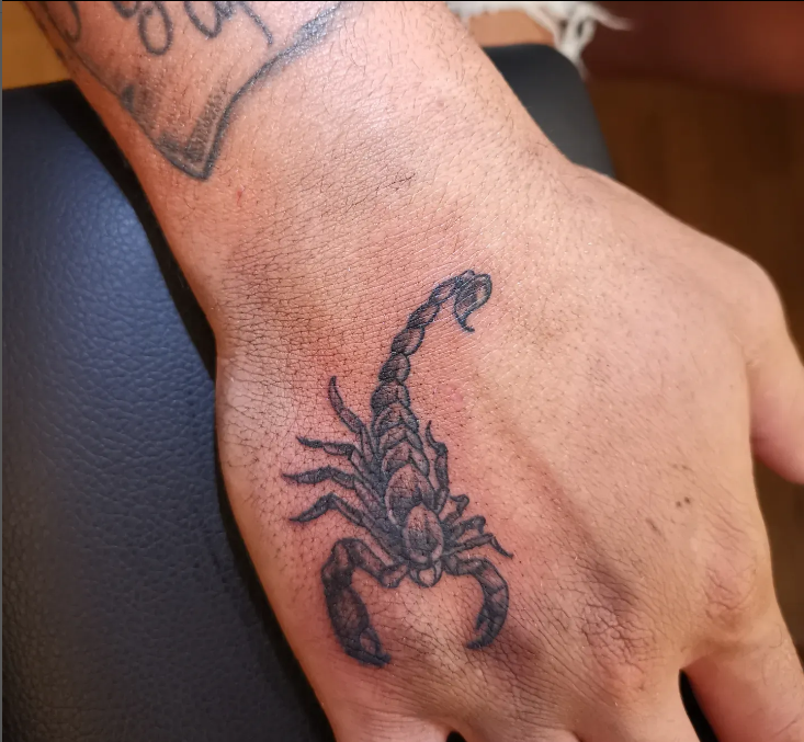 37 Ultimate And Prominent Scorpion Tattoo Ideas And Designs For Hand ...