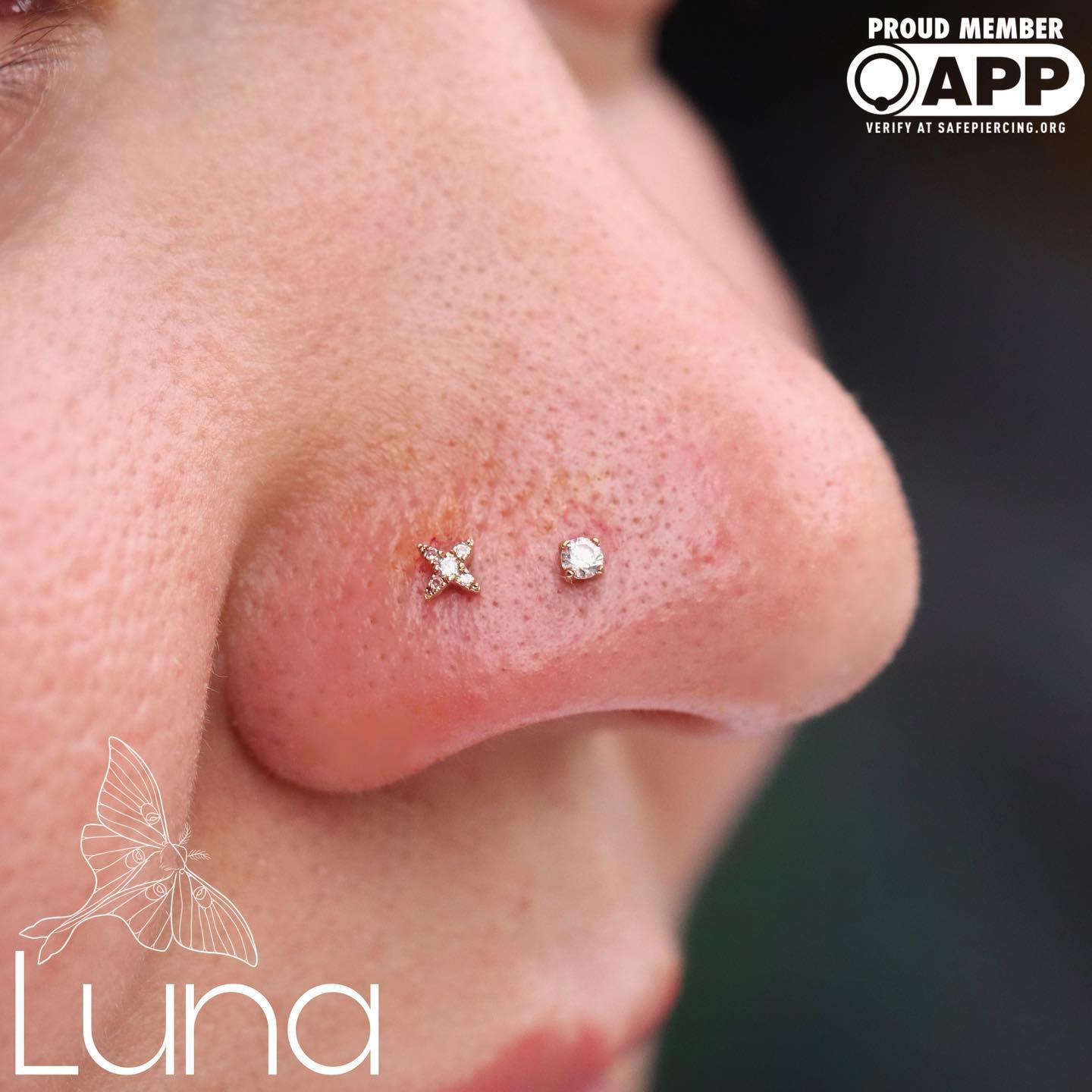 7+ Amazing Diamond Nose Ring Ideas That Will Help You To Look ...