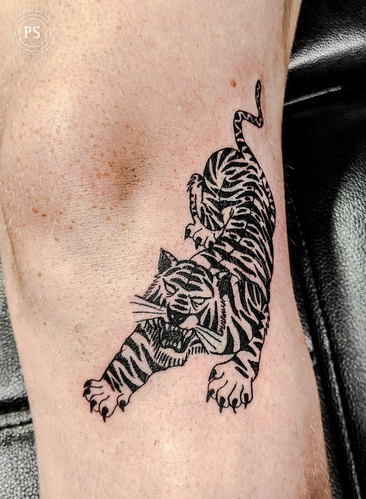 Top-Notch Tattoo Shops In North Dakota To Get A Tattoo - Psycho Tats