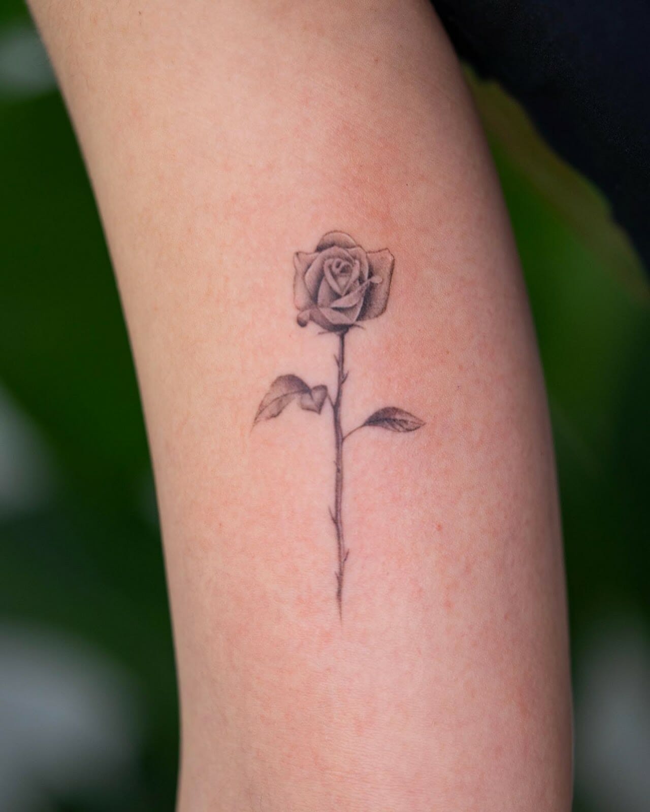 What Are The Three Stages Of The Recovery Process For A Tattoo ...