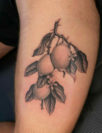 81 Latest Design Lemon Tattoo with Deep Meaning - Psycho Tats