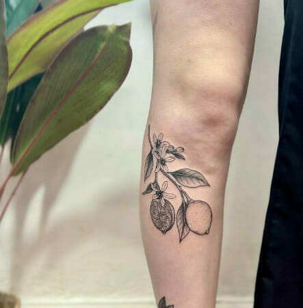 81 Latest Design Lemon Tattoo with Deep Meaning - Psycho Tats