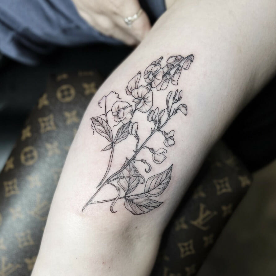 15 Enchanting Sweet Pea Tattoo Designs: Blooms of Elegance - Psycho Tats