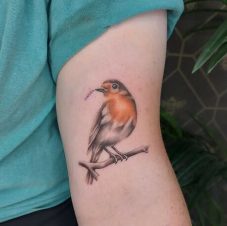 59 Robin Tattoos – Majestic Ink for Nature Enthusiasts - Psycho Tats