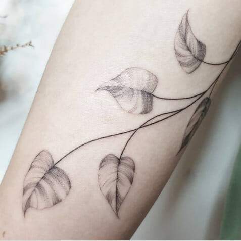 41 Pothos Tattoos- A Tribute to the Heartwarming Purity of Houseplants ...